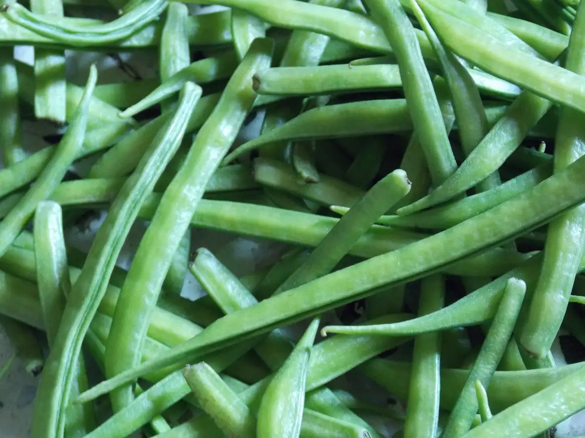 Benefits Of Cluster Beans,ಗೋರಿಕಾಯಿಯ ಪ್ರಯೋಜನಗಳ ಬಗ್ಗೆ ತಿಳಿದ್ರೆ, ಖಂಡಿತ ...