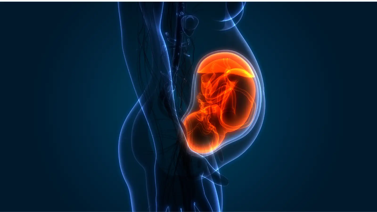 How Your Spine Adapts to Carry Your Growing Baby