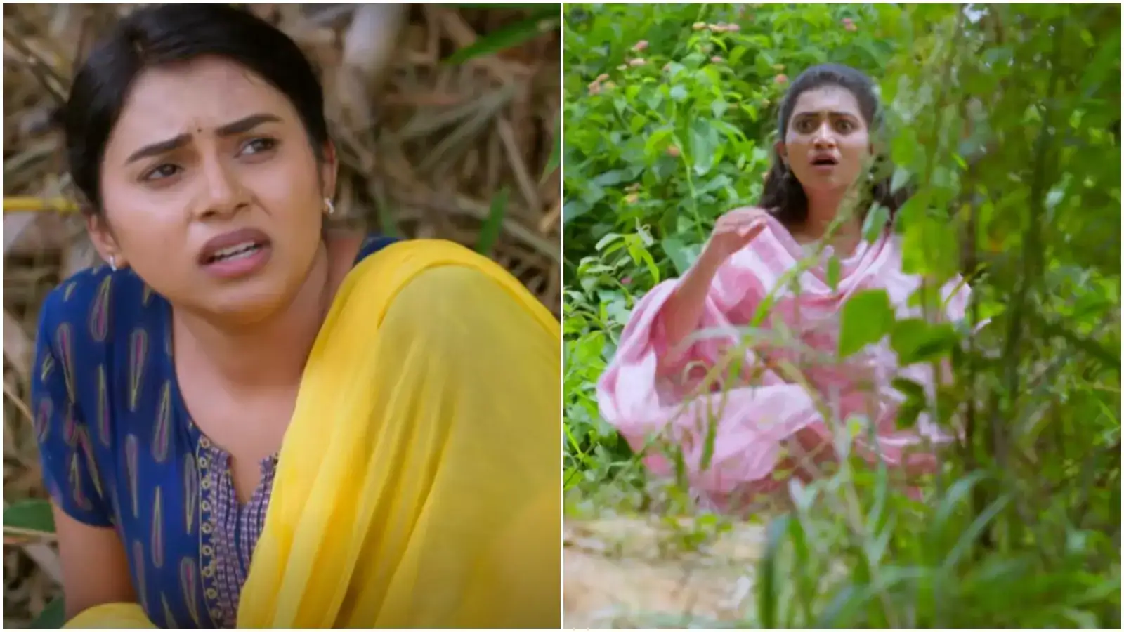 ಭಾರ್ಗವಿ ಎಲ್‌ಎಲ್‌ಬಿ ಇಂದಿನ ಸಂಚಿಕೆ,Bhargavi LLB ಮಹಾ ತಿರುವು: ಅಂತಿಮ ವಿಚಾರಣೆ ...