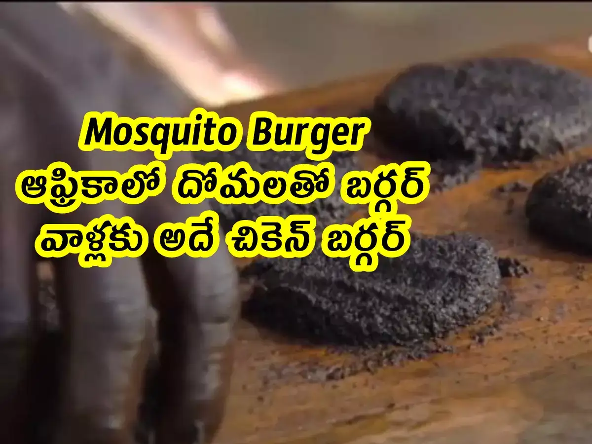 Mosquito Cakes,Mosquito Burger: ఆఫ్రికాలో దోమలతో బర్గర్.. వాళ్లకు అదే ...