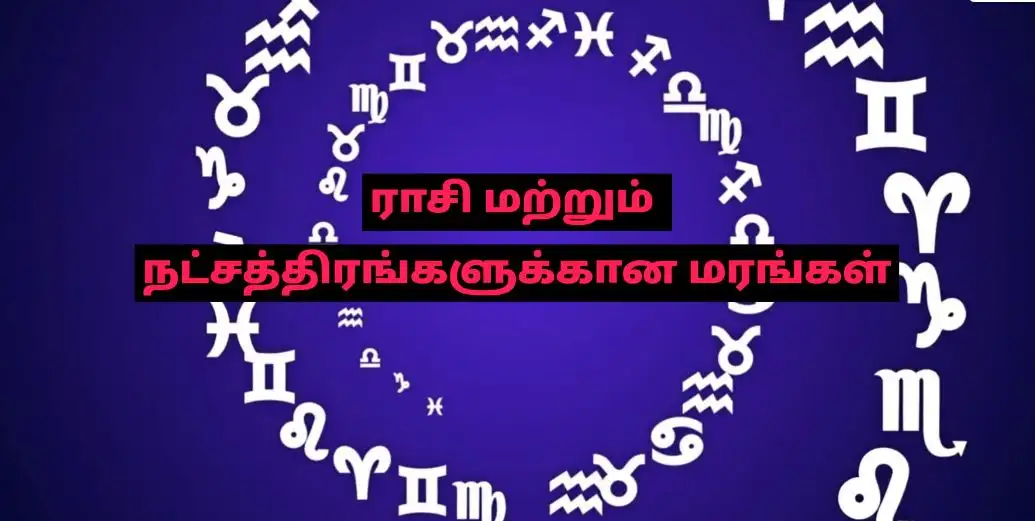 Nakshatra Trees,Rasi Trees: ராசி மற்றும் நட்சத்திரங்களுக்கான மரங்கள் ...