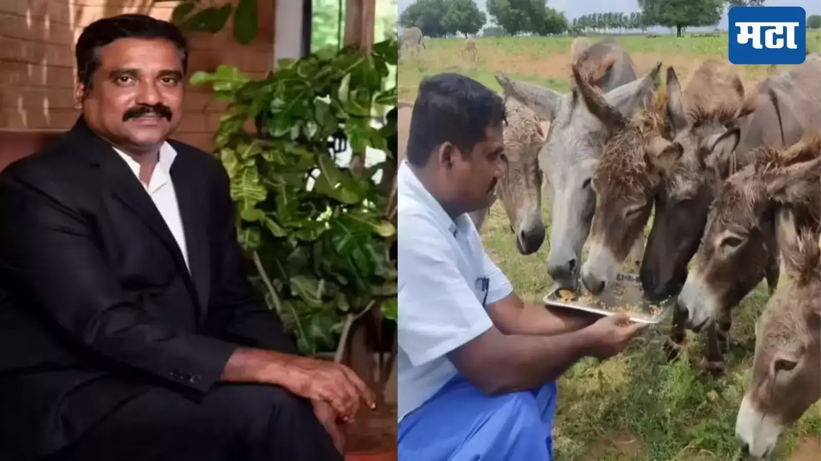 Success Story : वकिली सोडली अन् गाढवं पाळले, अनोख्या उत्पादनांनी ...