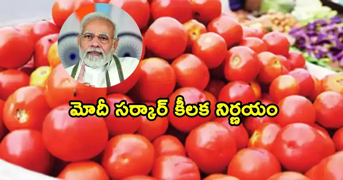 Modi Government,Tomato Prices: మోదీ సర్కార్ గుడ్‌న్యూస్.. తక్కువ ధరకే ...