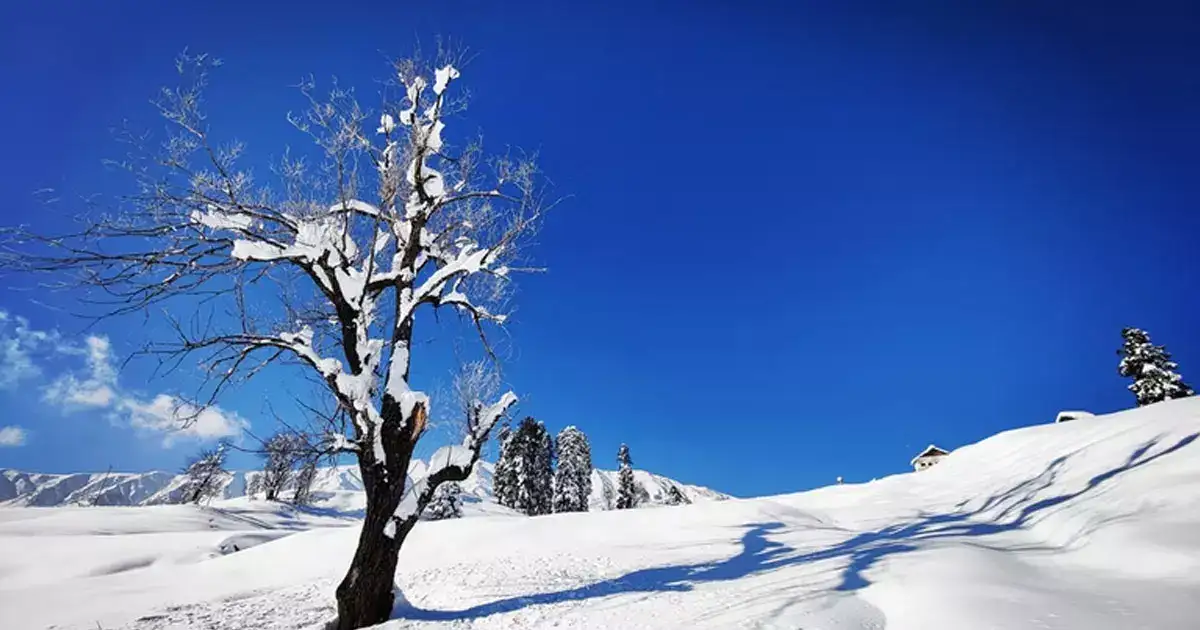 Places In India That Receive Snowfall,മനോഹരമായി മഞ്ഞുപെയ്യുന്നത് കാണാന് ...