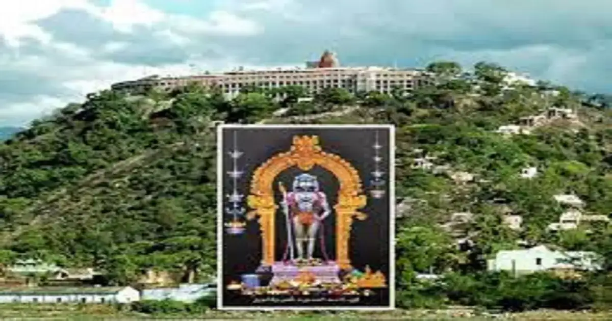 Palani Murugan Temple,பழனி முருகன் கோவிலில் போகர் ஜெயந்தி விழாவிற்கு ...