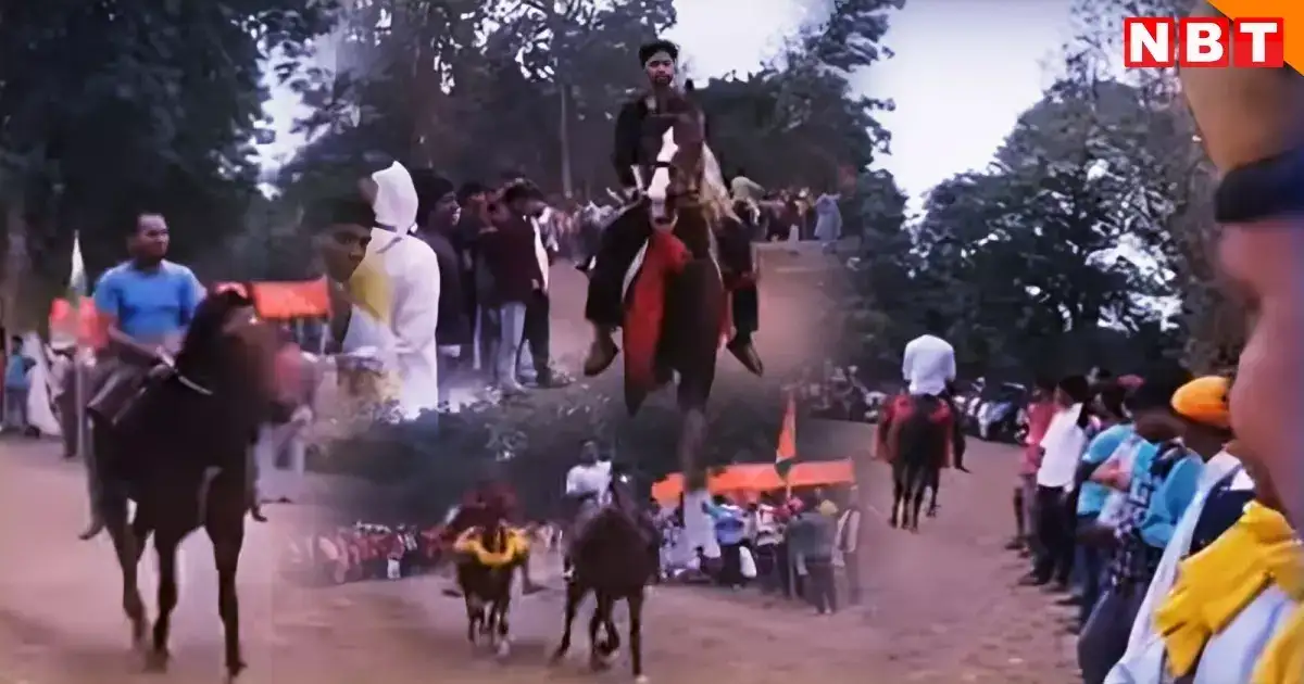 Anant Singh Horse,अनंत सिंह का घोड़ा 'लाडला' हारा, मोकामा की रेस में ...