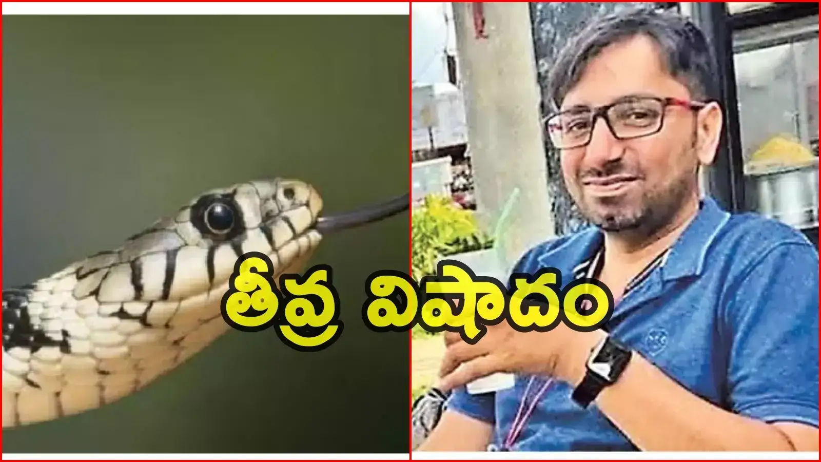 Snake Bite Techie,Bengaluru: చెప్పులో దూరిన రక్తపింజరి.. పాము కాటుతో టీసీఎస్ ఉద్యోగి మృతి - tcs ...