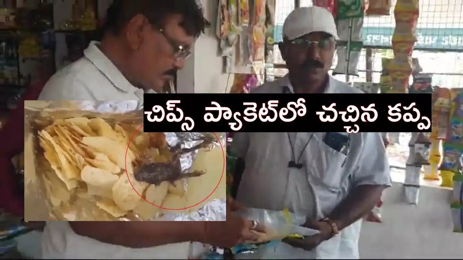 Dead Frog In Chips Packet,Gujarat: చిప్స్ ప్యాకెట్‌లో చనిపోయిన కప్ప ...