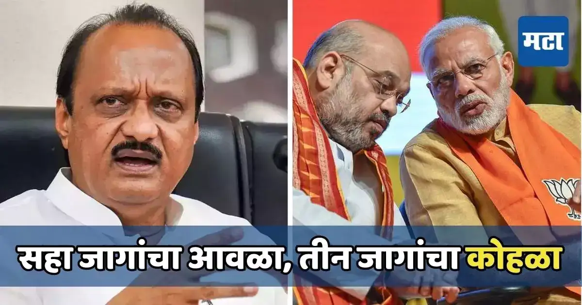 lok sabha elections 2024 6 seats of ncp in mahayuti alliance come with terms and conditions ...