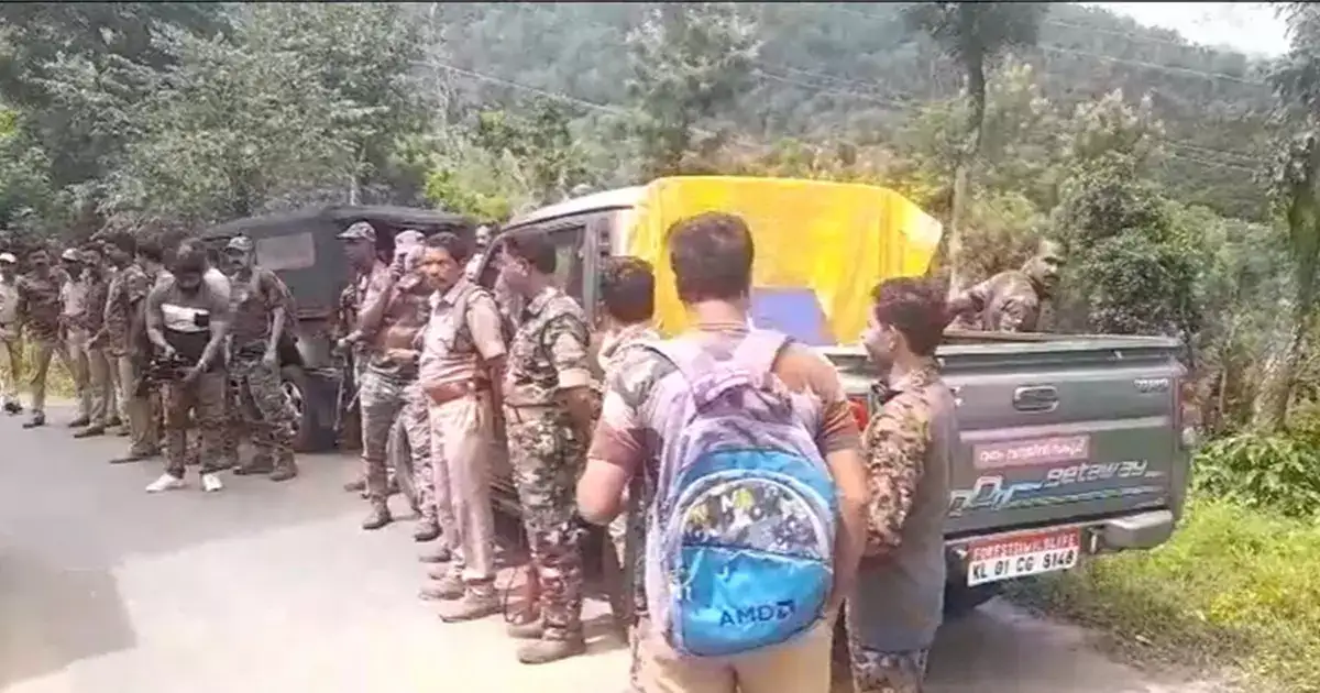 Tiger In Wayanad Panavally,രണ്ടാംദിനവും തിരഞ്ഞ് മടുത്ത് വനപാലകര് ...