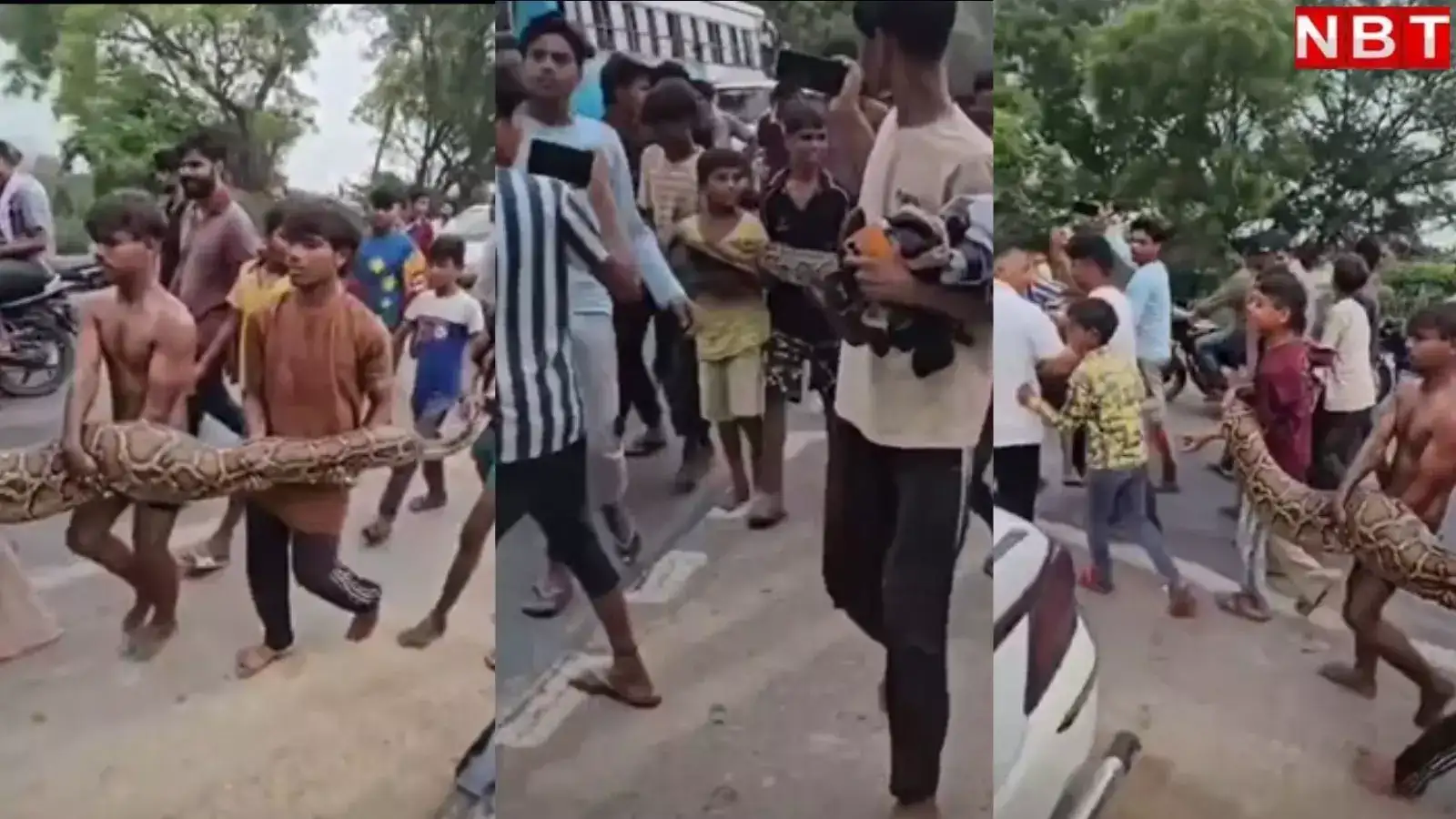 Bulandshahr Ajgar Ka Video,बच्चों के हाथ में 15 फीट का विशालकाय अजगर ...