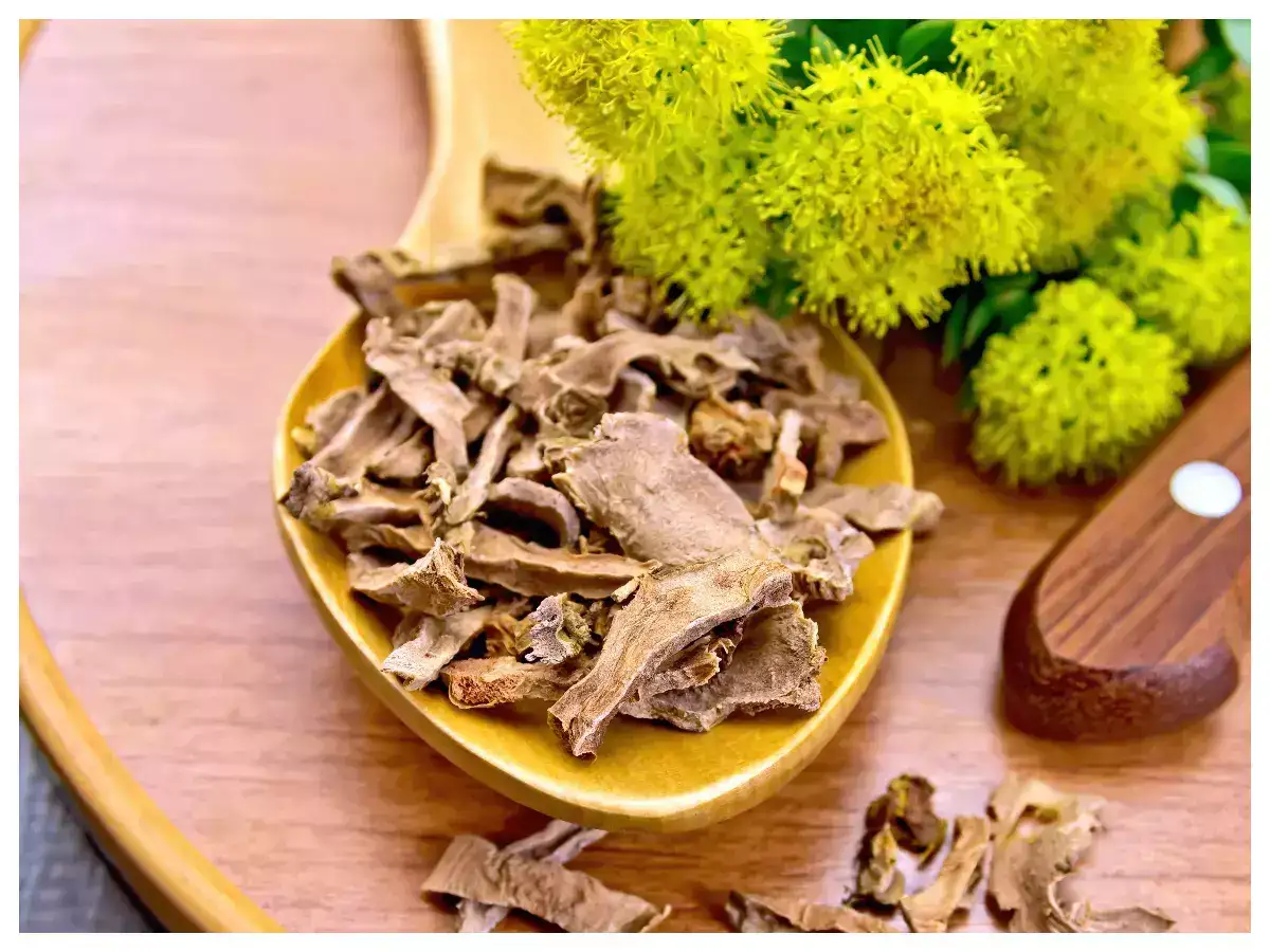 Top 10 Benefits Of Mara Manjal : தோல் முதல் ரத்த மூலம் வரை பல நோய்களை ...