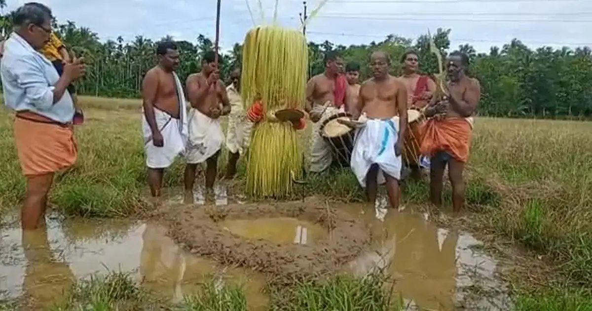 Thimiri Valiya Valappil Chamundi Devasthanam,തുലാം പിറന്നു, വിത്തെറിയാ ...