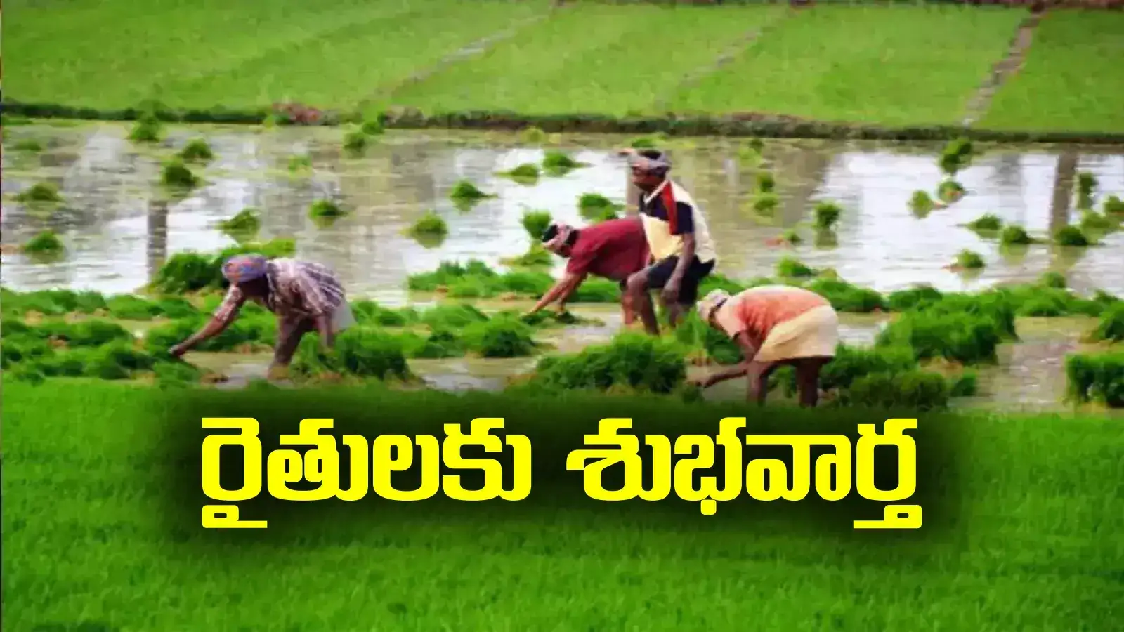 Ap Paddy Procurement,ఏపీ రైతులకు తీపికబురు.. రెండు రోజుల్లోనే ...