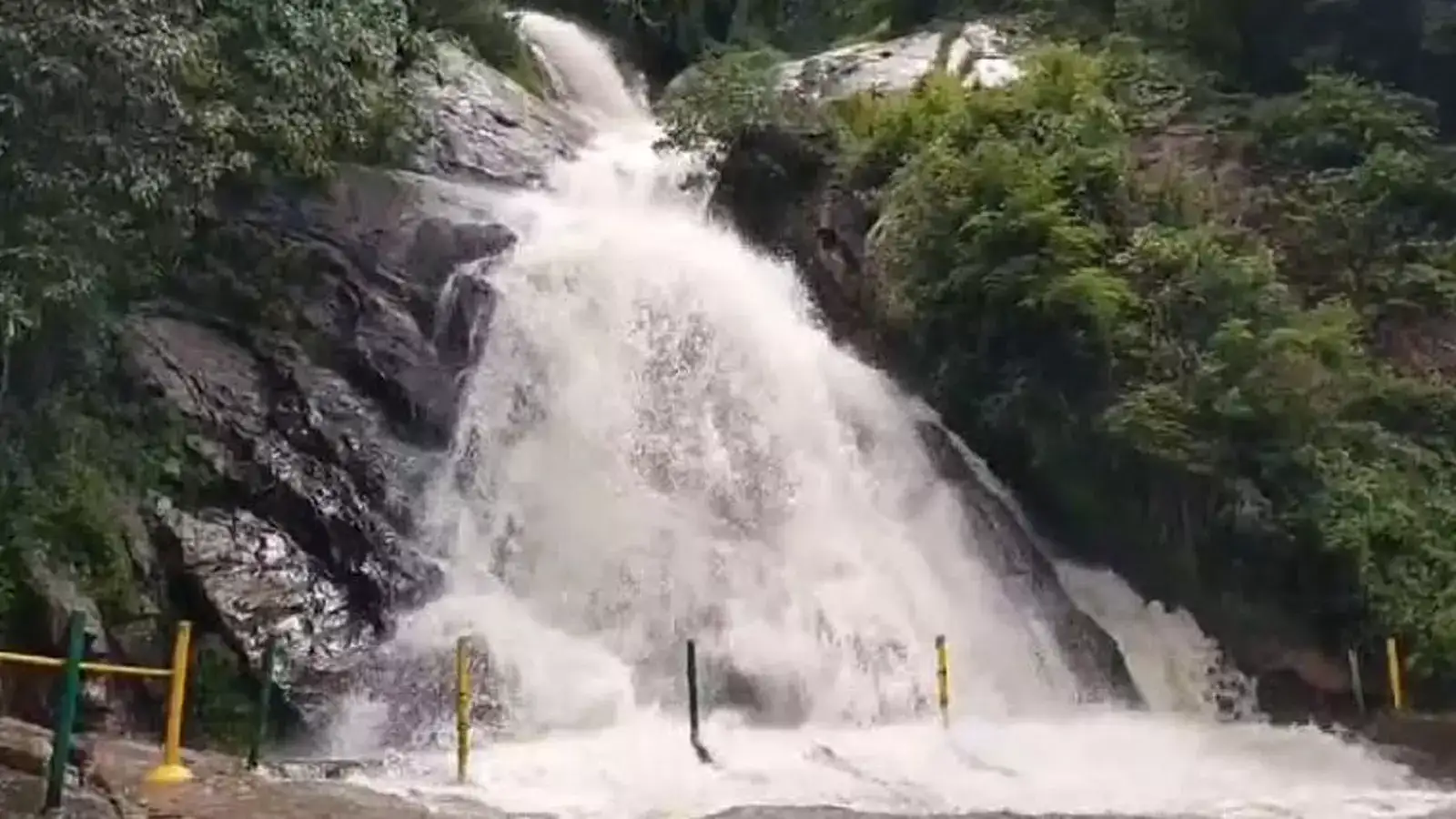 pollachi aliyar kaviyaruvi : வால்பாறையில் கனமழை : ஆழியார் கவியருவியில் சுற்றுலாப் பயணிகள் ...