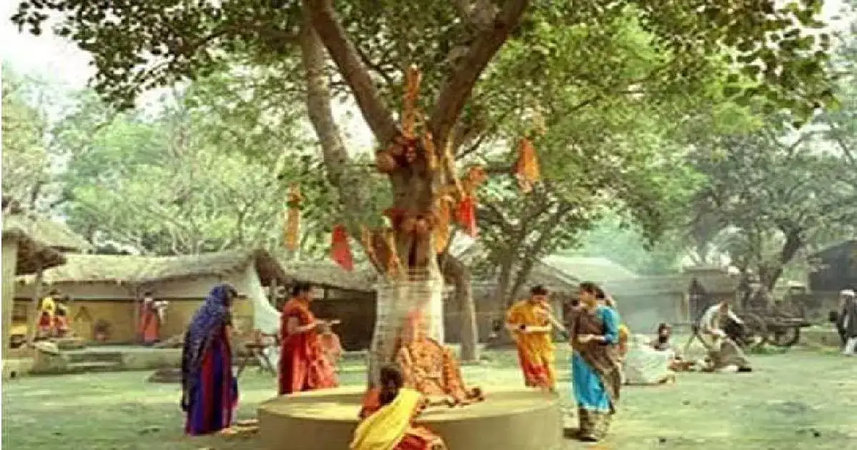 Peepal Tree Worship Benefits,யார் யார் எந்த நாளில், எந்த நேரத்தில் அரச ...