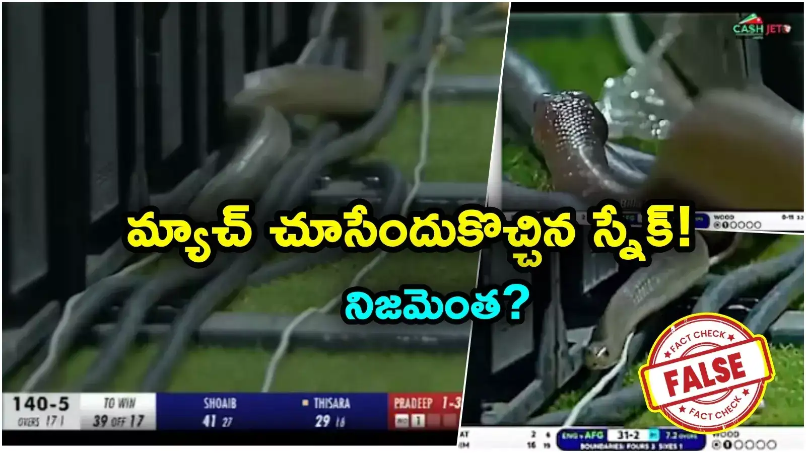 Snake In Gaddafi Stadium Lahore,Lahore Stadium: ఛాంపియన్స్ ట్రోఫీ ...