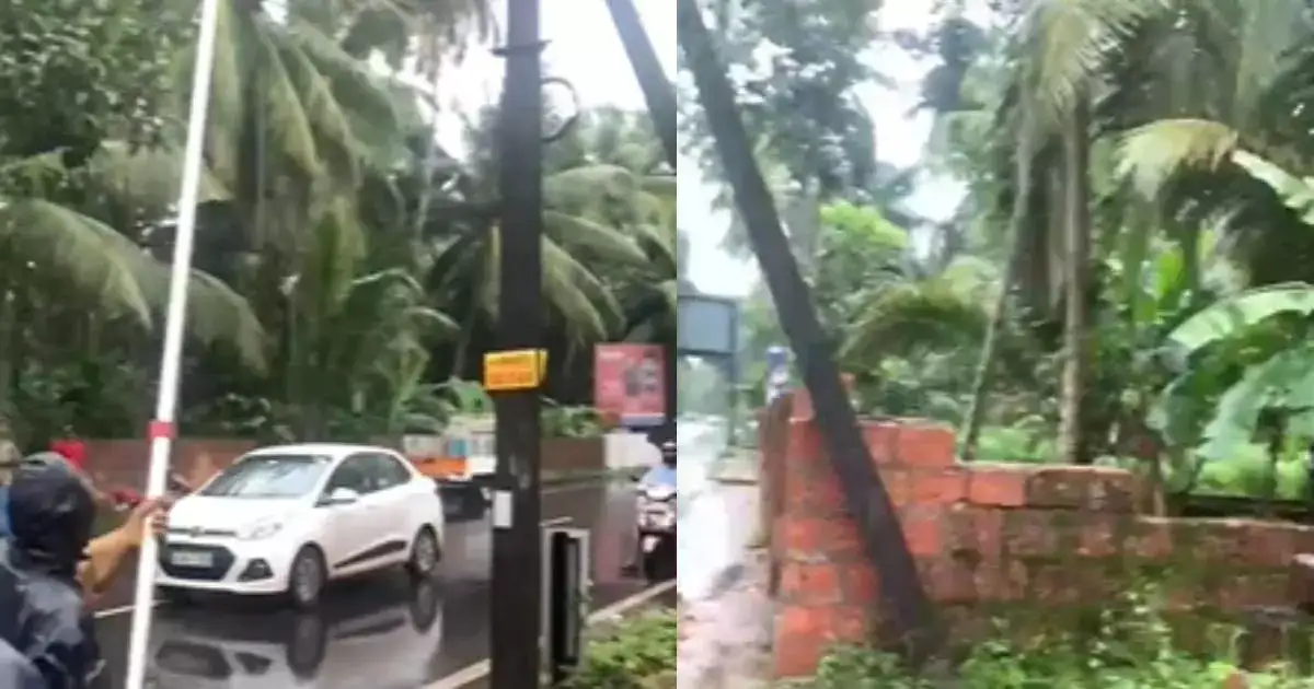 Electrocuted Snake Found Died,താനൂരിൽ കനത്ത മഴയിൽ വൈദ്യുതി തൂണിൽ ഇഴഞ്ഞു ...