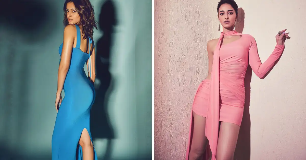 Annaya Panel Launch Dior Luxury Pink Elephant Bag,पिंक कलरच्या हत्तीचं ...