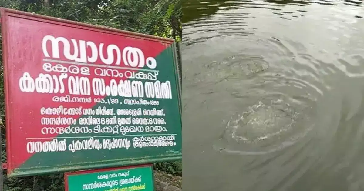 Kakkad Eco Tourism Woman Death,തിരുവോണദിനത്തിൽ ടൂറിസം കേന്ദ്രത്തിലെത്തി ...