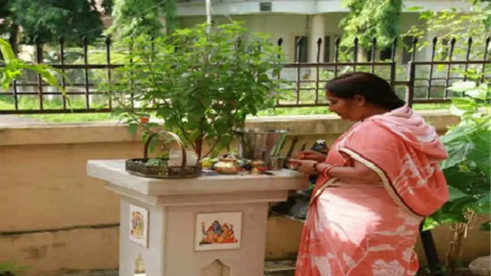 trees and its spiritual significance in hinduism : மரங்களுக்கு ...