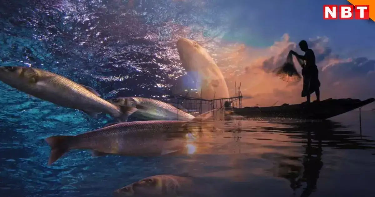 मछली पालन में बन गया रेकॉर्ड, चीन के बाद दूसरे स्थान पर पहुंचे हम ...