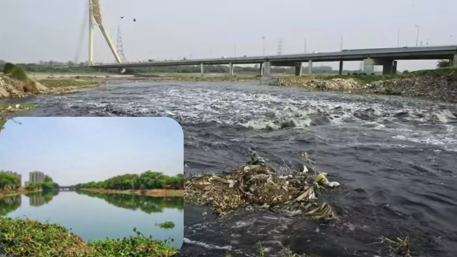 Najafgarh Drain Sahibi River,धार्मिक भावना के सहारे सफाई का प्लान ...