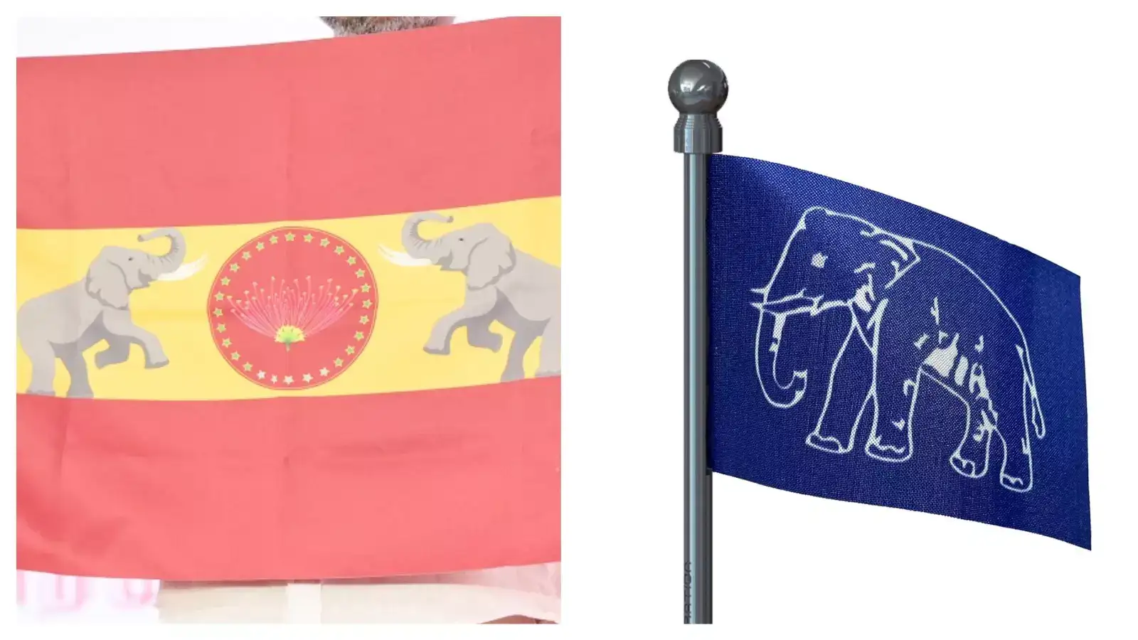 bsp request to remove the elephant photo on flag of tvk : தவெக கொடிக்கு ...