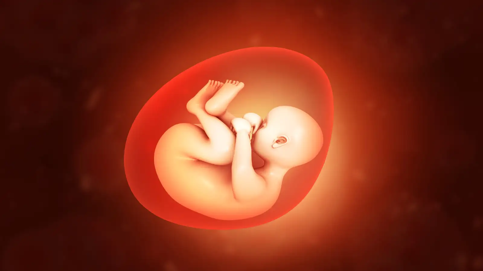 Do Babies Really Sleep Inside the Womb?