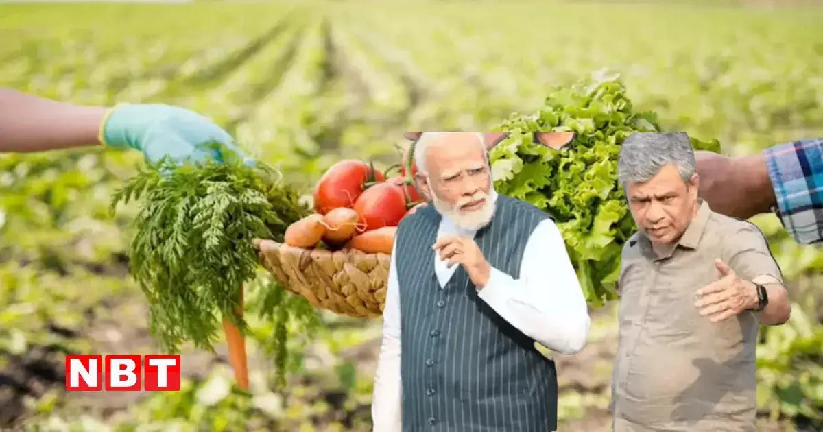 What Is National Mission On Natural Farming,क्‍या है NMNF जिसे मोदी ...