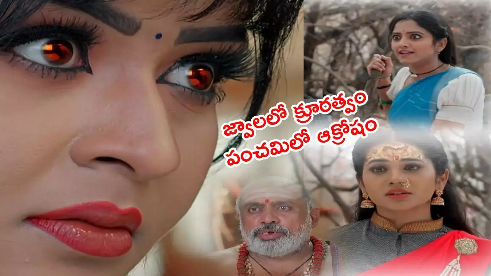 Naga Panchami Serial,Naga Panchami Today: ‘నీ బిడ్డను నేను నాగలోకం ...