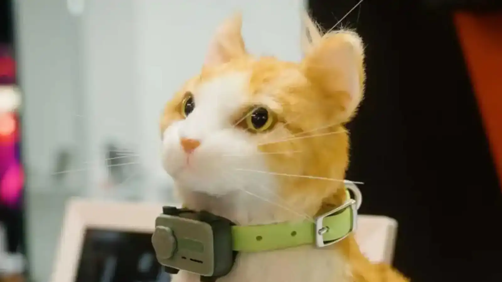 PetPhone in MWC 2025: MWC 2025: डॉगी के पास भी होगा फोन, PetPhone से ...