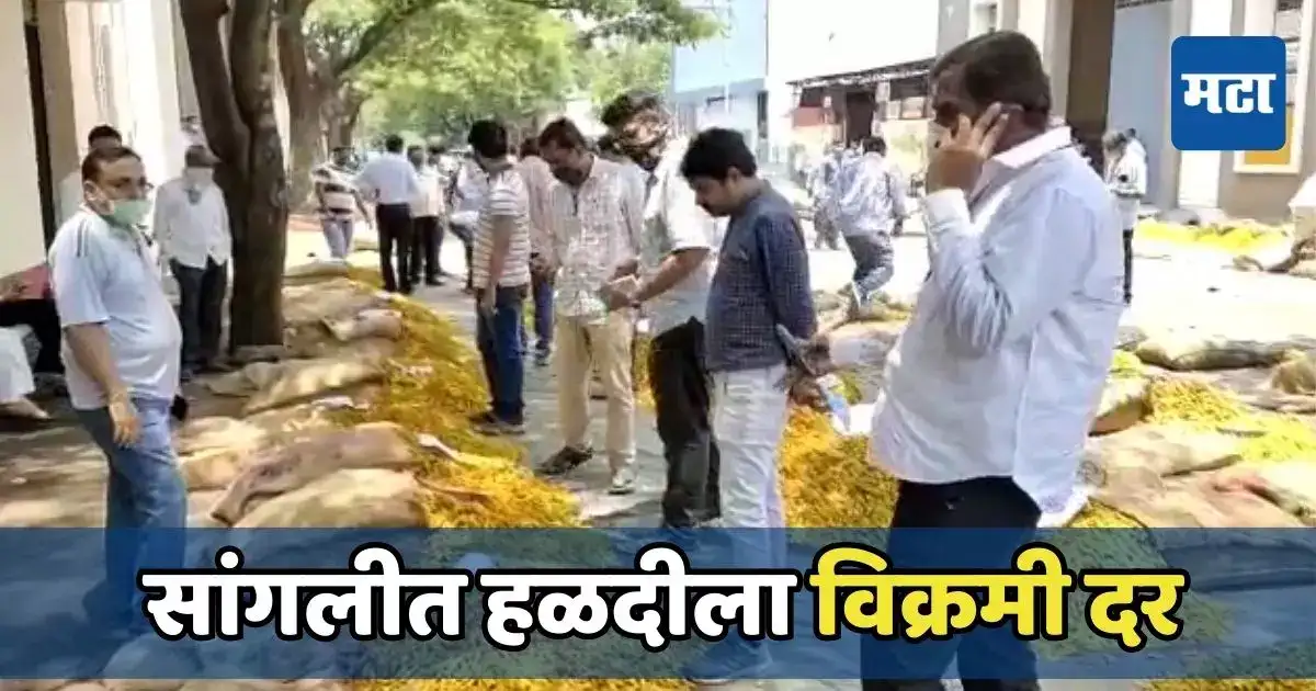 Turmeric Rate in Sangli : सांगलीत हळदीनं ४१ हजारांचा टप्पा ओलांडला,पाच ...