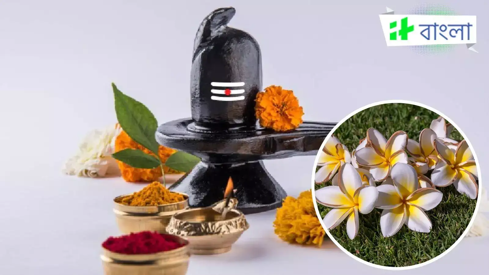 Mahashivratri 2025: শিব পুজোয় নিষিদ্ধ কেতকীর ফুলের ব্যবহার, জানুন ...