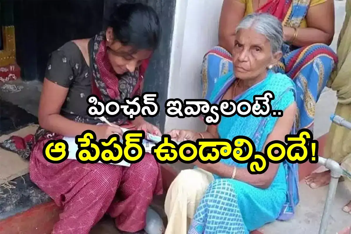 AP SERP CEO Circular: YSR Pension Kanuka Distribution Dates Revealed AP ...