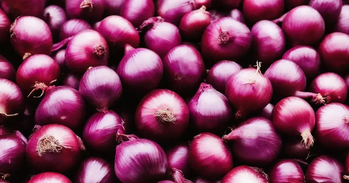 54 Thousand Tons Of Onion Will Be Exported Traders Can Export Onions To These Countries Till ...