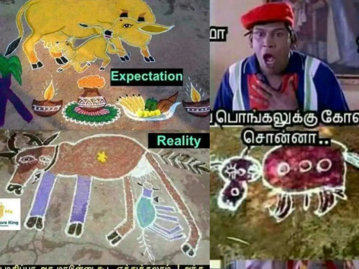 Mattu Pongal Kolam Memes,Pongal Kolam : மாட்டை வரைய சொன்ன மூட்டை ...