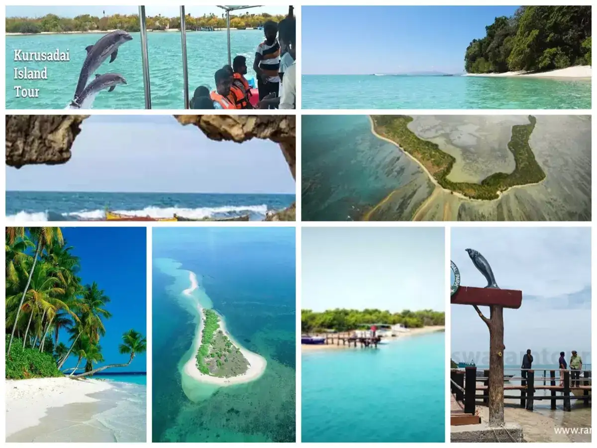 Rameswaram Kurusadai Island is the best tourist destination in Tamil ...