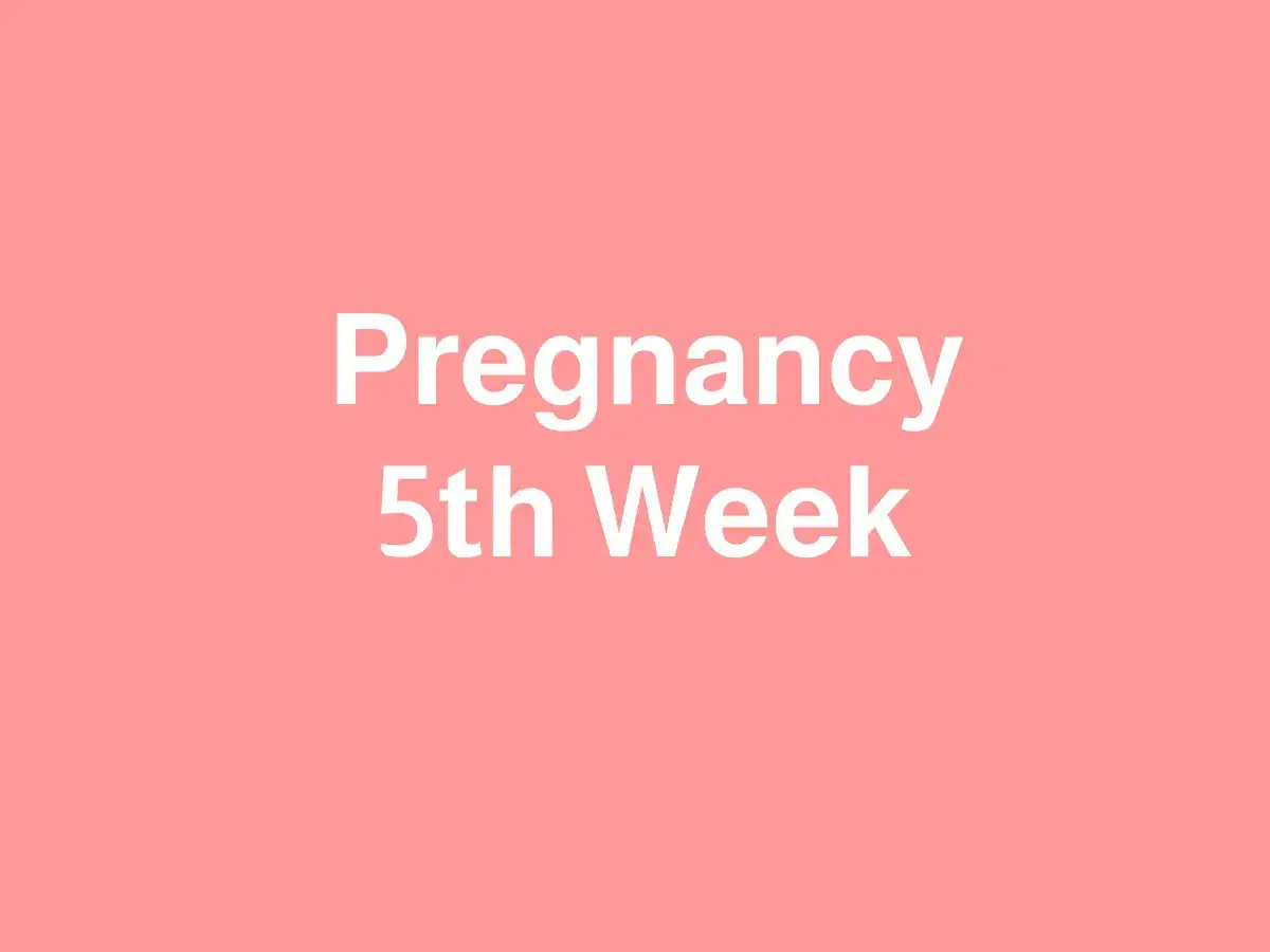 Pregnancy 5th Week,5 Weeks Pregnant: അമ്മയ്ക്കും കുഞ്ഞിനും സംഭവിക്കുന്ന ...