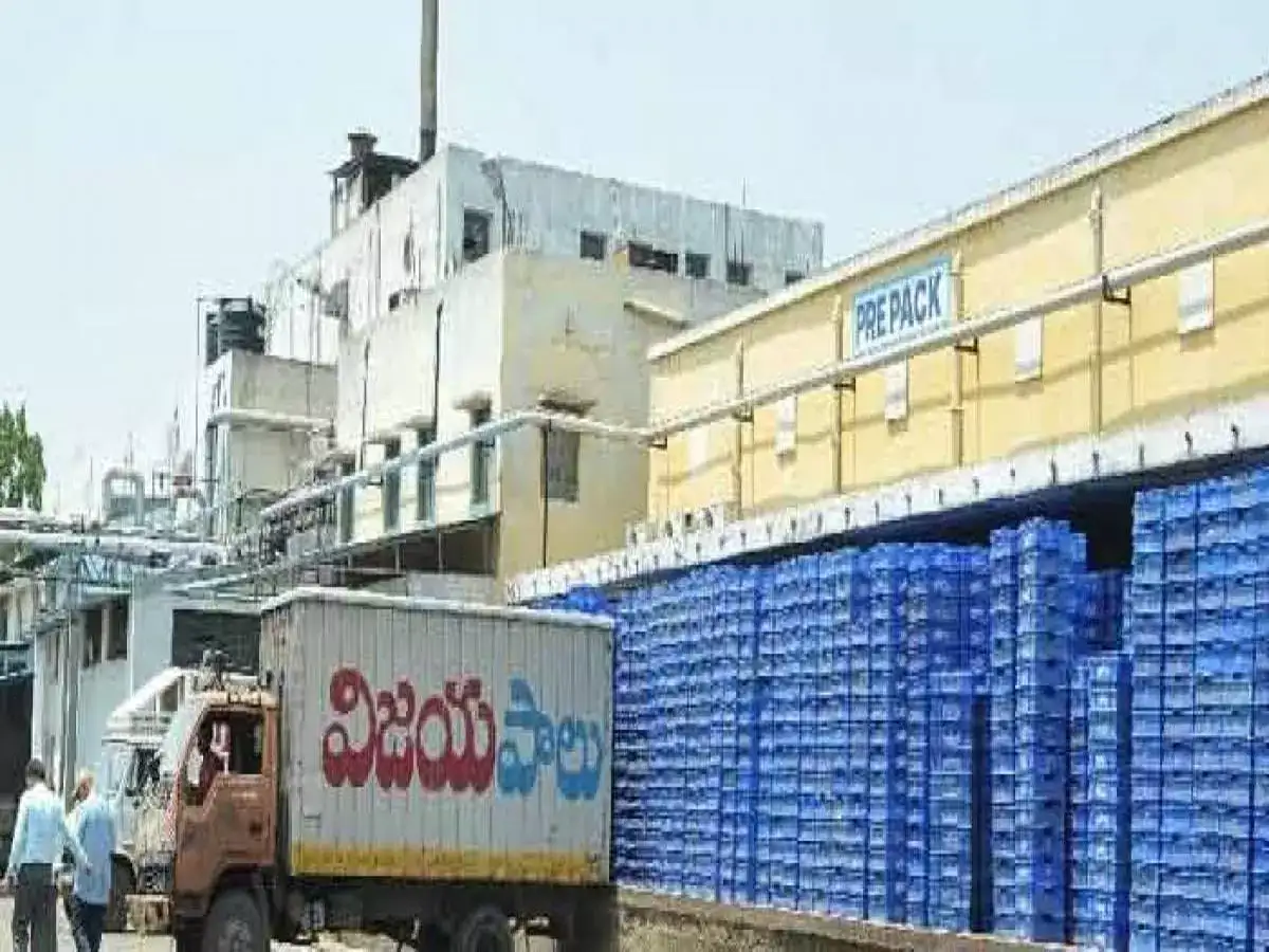 Ap Vijaya Dairy Milk Price Hiked,ఏపీలో పాల ప్యాకెట్ల ధరలు పెంపు.. ఒక్క ...
