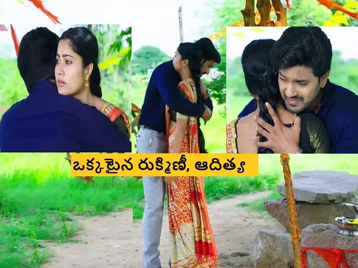 Devatha Today Episode,Devatha: దేవత సీరియల్‌లో ఊహించని మలుపు.. ఒక్కటైన రుక్మిణి, ఆదిత్య ...
