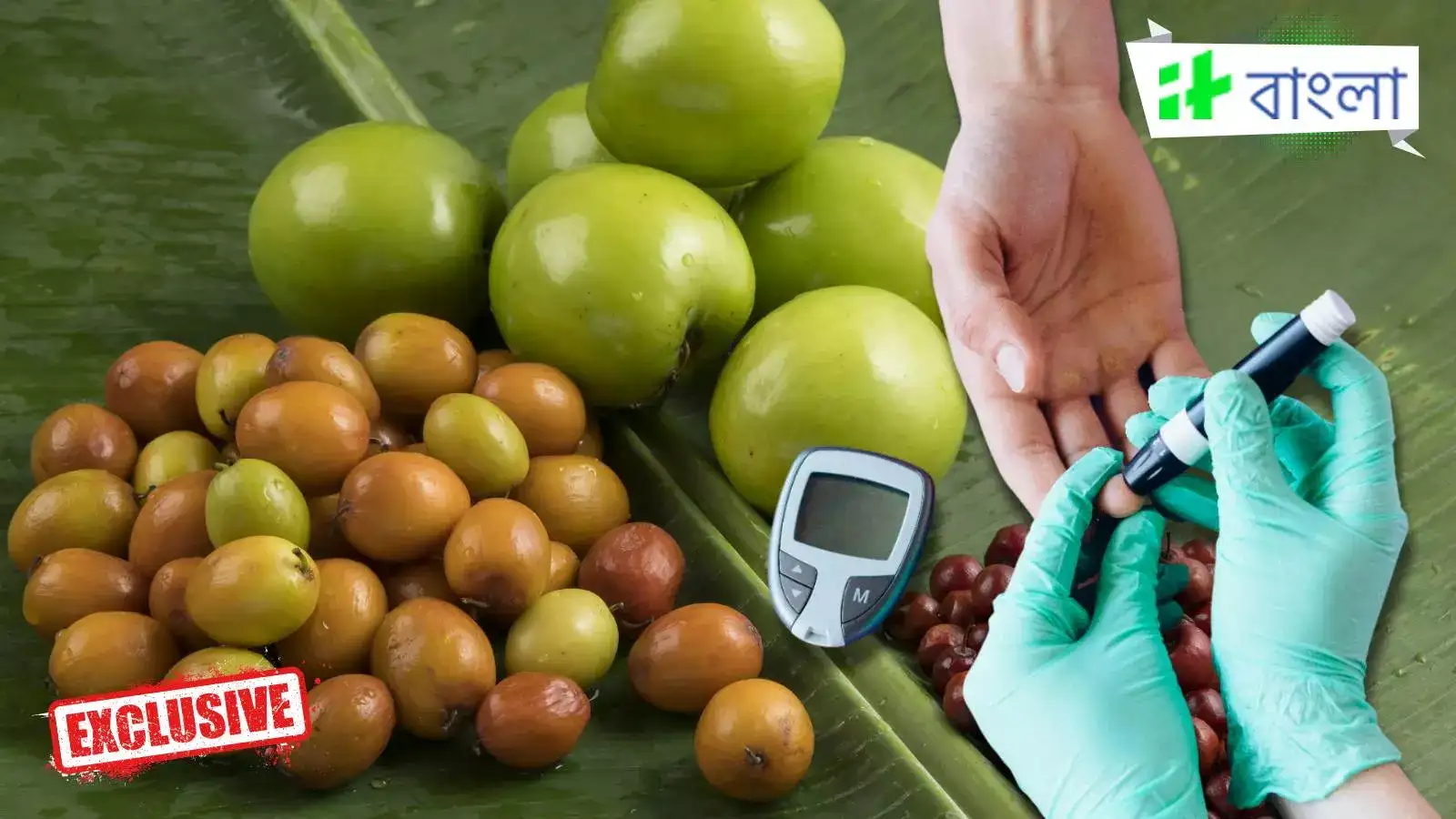 Jujube In Diabetes,ডায়াবিটিসে কি কুল খাওয়া উচিত? উত্তরটা বিশিষ্ট চিকি ...