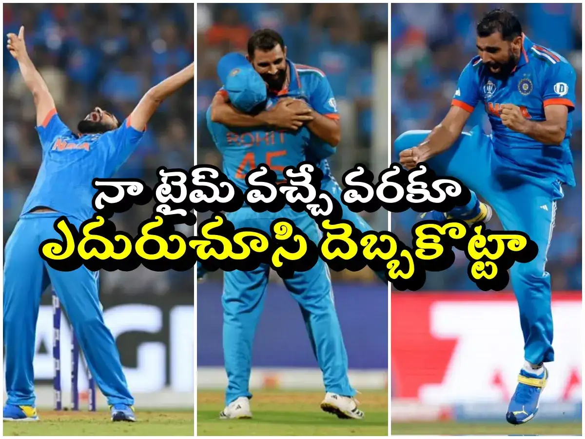Shami 7 Wickets,Mohammed Shami Revenge: కేన్ మామపై ప్రతీకారం ...