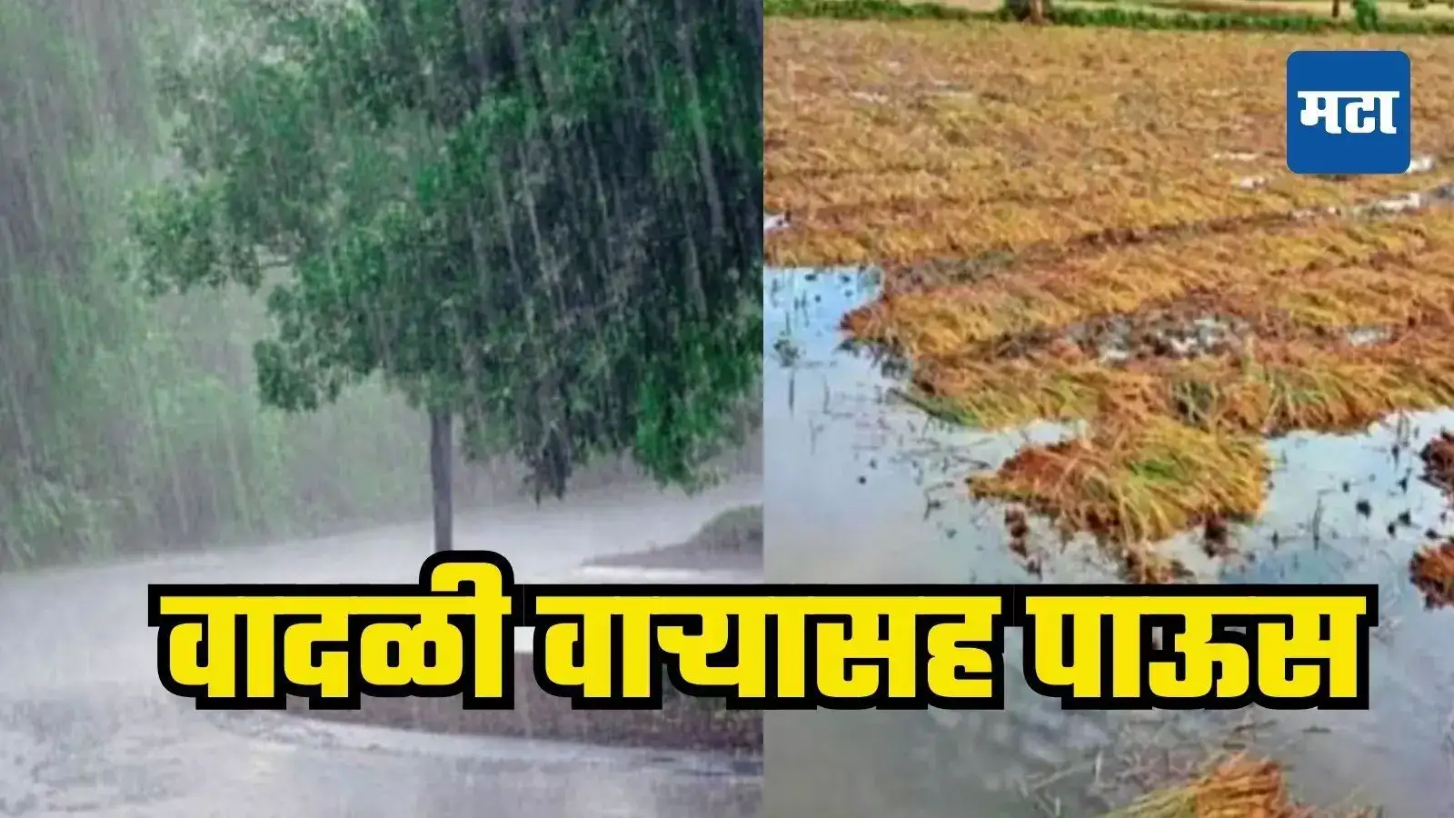 Maharashtra Marathwada Madhya Maharashtra Weather Update 5 April 2025 Rain Yellow Alert : वादळी ...