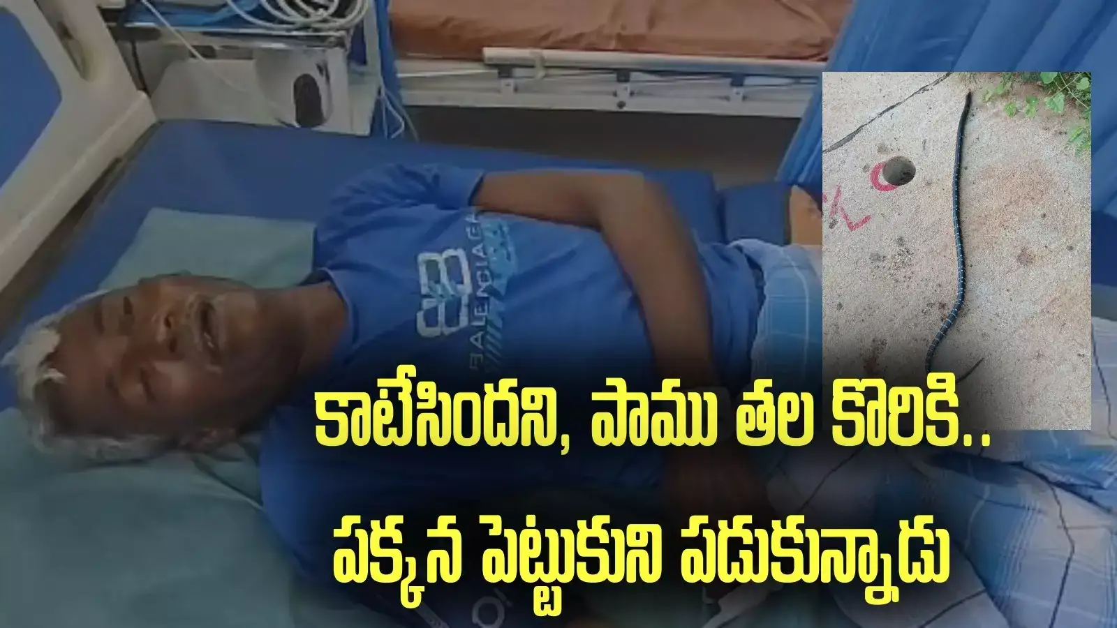 Drunk Man Snake Head Tirupati,చుక్కేసి.. పాముతోనే పక్కేసి ...