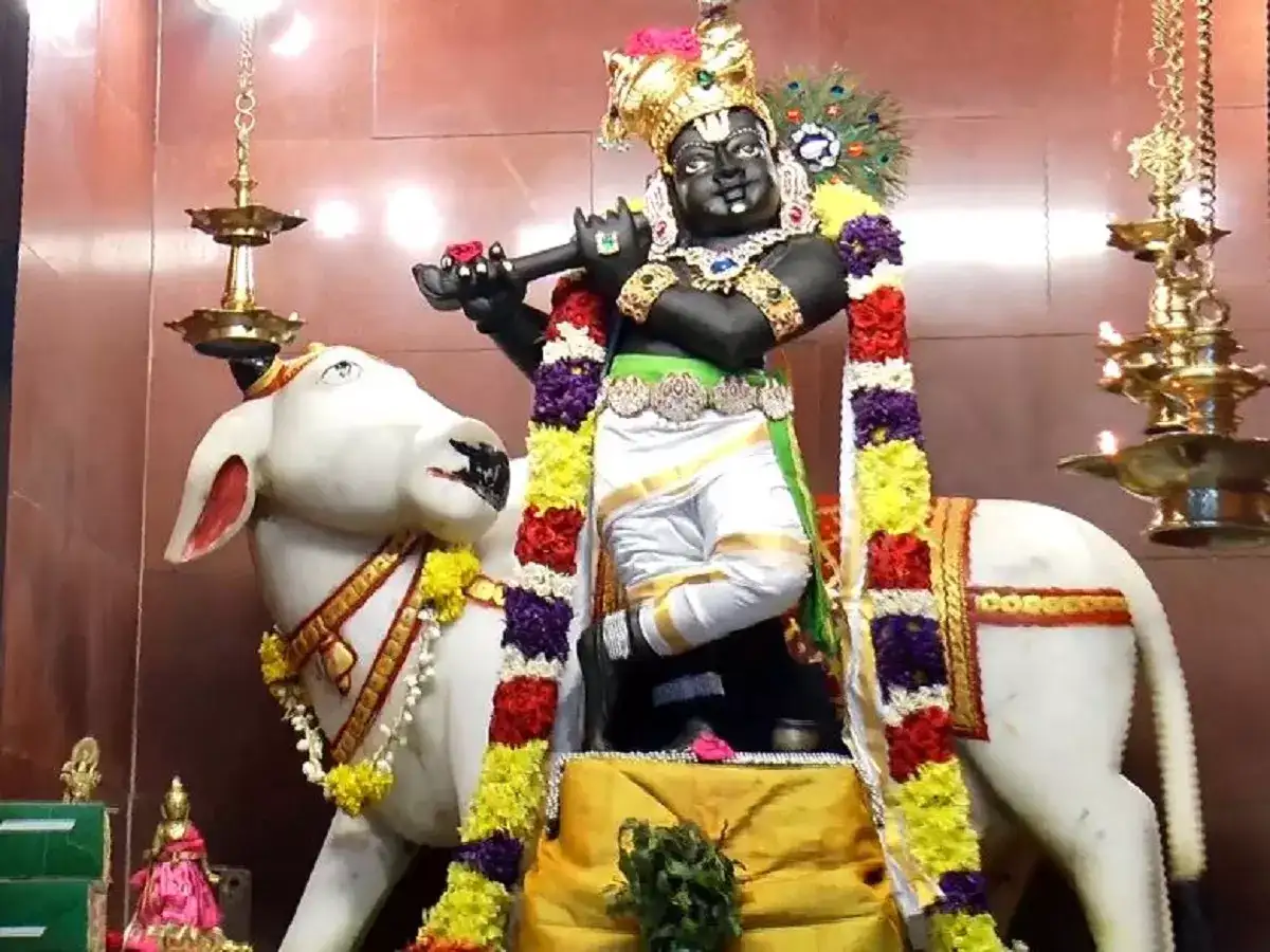 Krishna Jayanti Celebration At Tirunelveli,நெல்லை தருமபதி கோசாலையில் ...