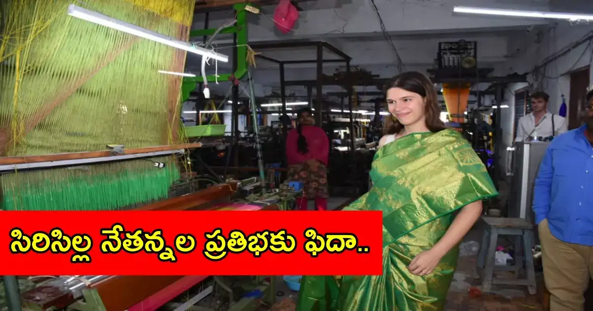 Handloom Sarees,Siricilla: సిరిసిల్ల చీరలకు అమెరికా రీసెర్చ్ స్కాలర్ ...