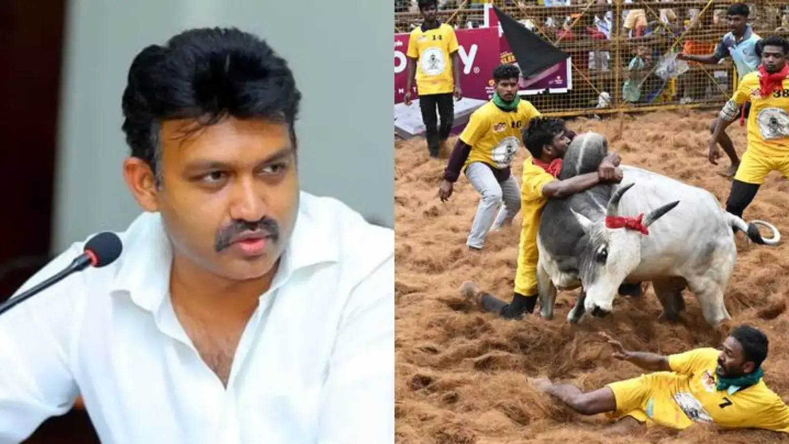 Senthil Thondaiman Jallikattu: மலேசியாவில் இந்த ஆண்டு ஜல்லிக்கட்டு ...