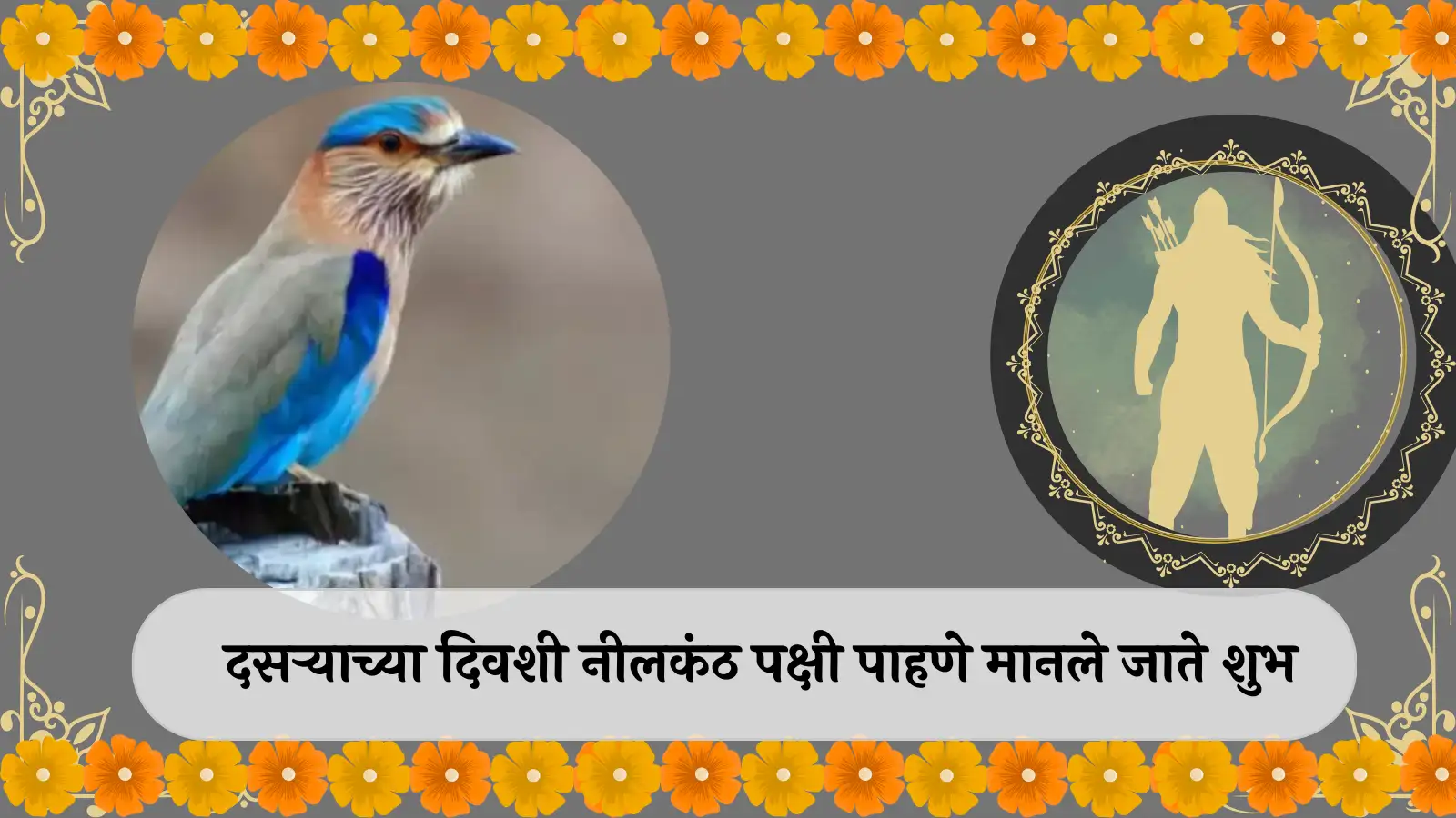 Dussehra Neelkanth Bird | It is considered lucky to see a neelkanth on ...