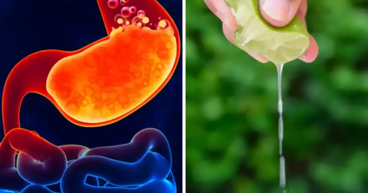 Stomach Growling Flood Sloshing In Gut Problem And 8 Natural Home ...